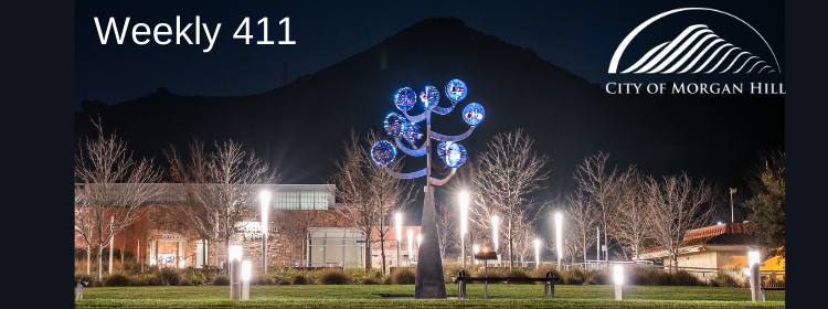 Weekly 411 Community News for November 19