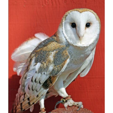 Celebrate National Library Week @ WTML