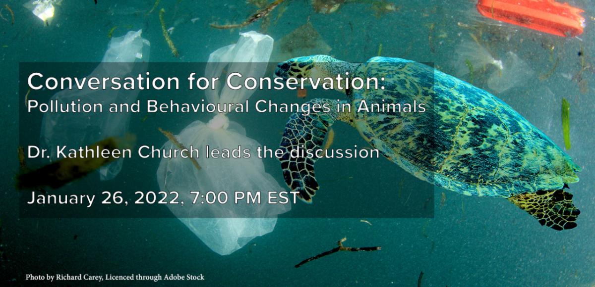 Join Us for a Conversation about Conservation