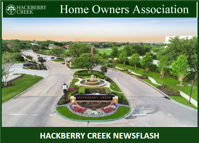 Board Weekly Update | Hackberry Creek