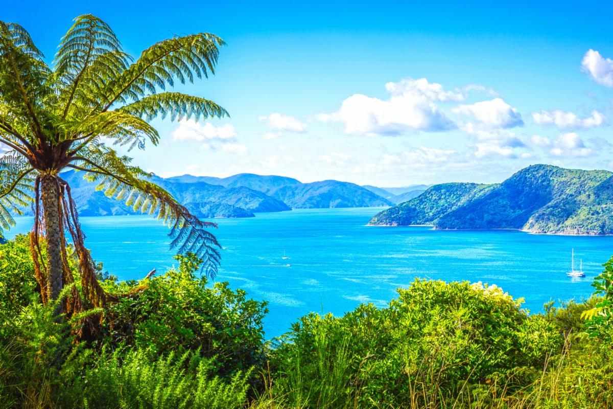 Icebreaker Memory Book - New Zealand 2024