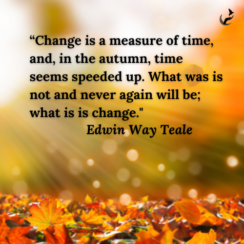 Capitol Corner - Pretrial Fairness Act