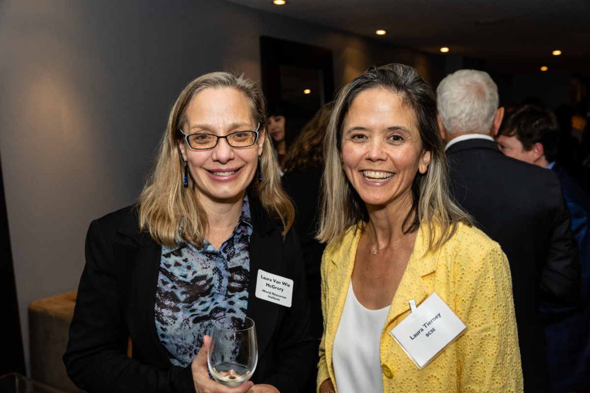 BCSE Members Discuss Inflation Reduction Act Implementation at Annual ...