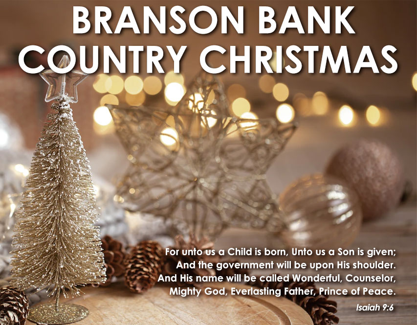 Christmas Party Survey, December 2022