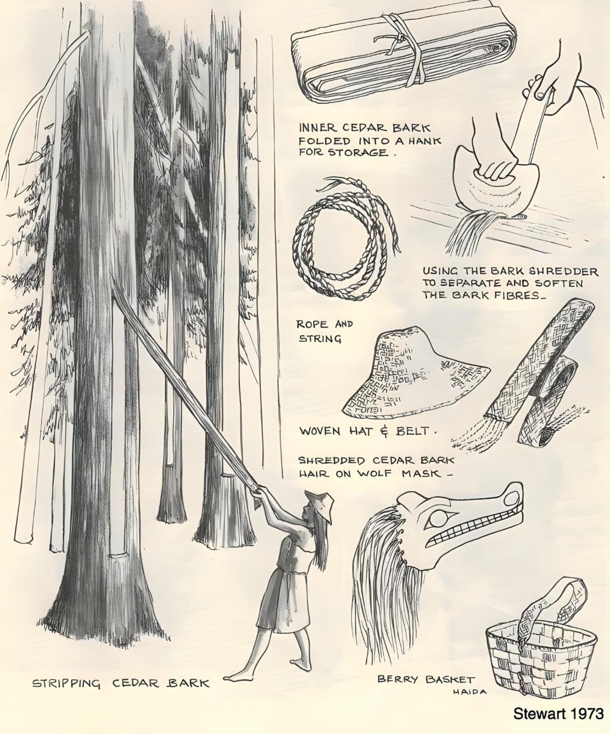 Your Summer 2025 Snohomish Tribal Newsletter