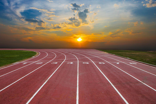 St. Cecilia Newsletter 2/5/2026