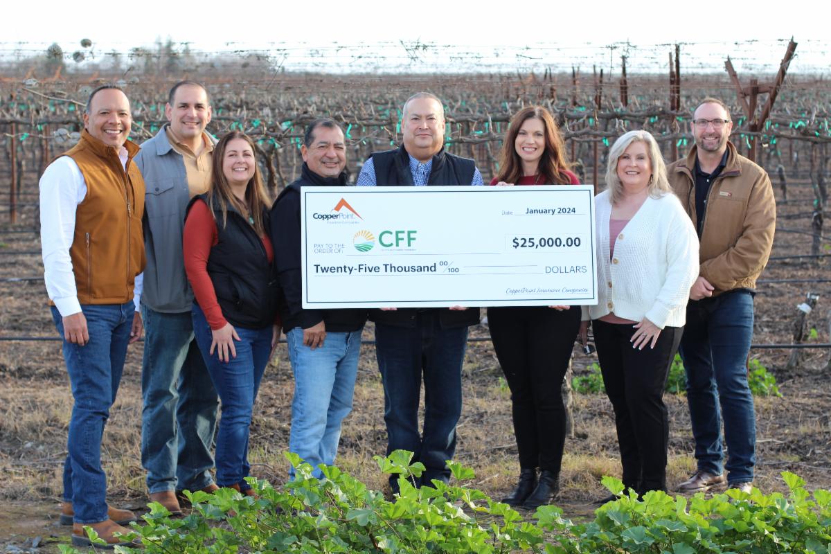 CFF: The latest news for you