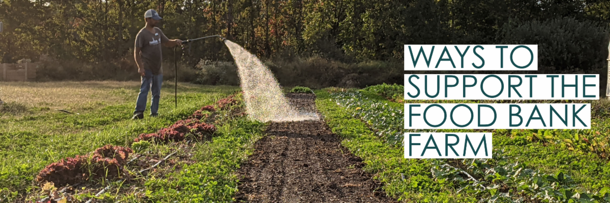 Three ways to support the Food Bank Farm and local agriculture!