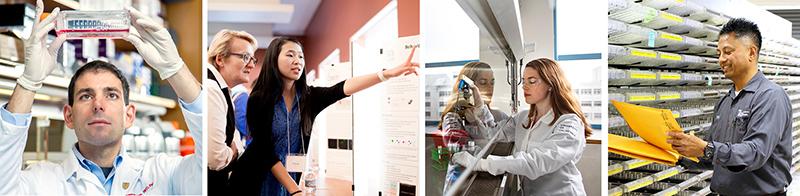 Expense Reports Made Easy With ExpenseIt, Mileage Reimbursement Rates ...