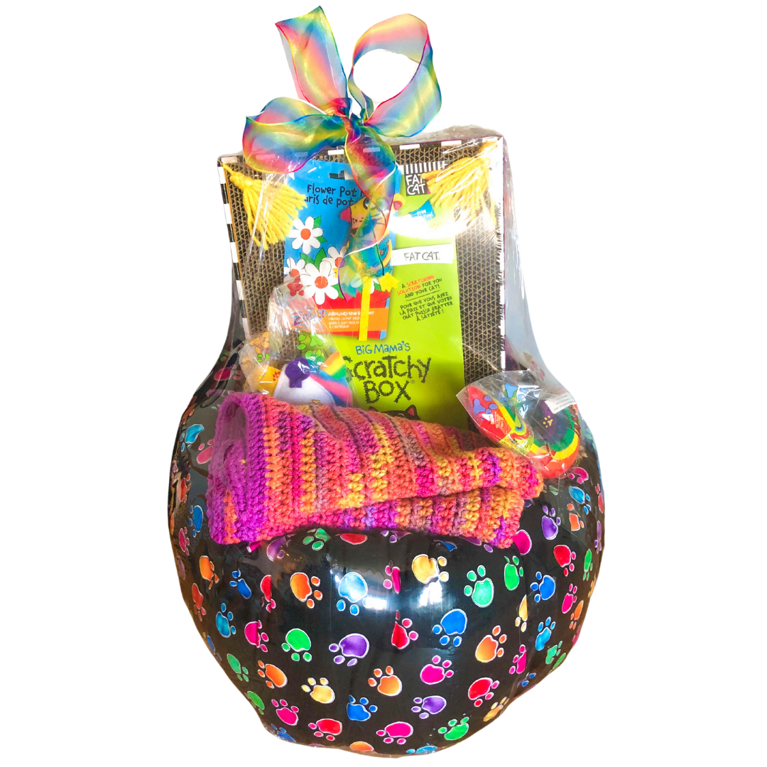 40th Year Celebration, TOPC Raffle, Tortoise Rescue