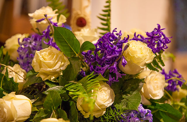 This Week's News & Announcements