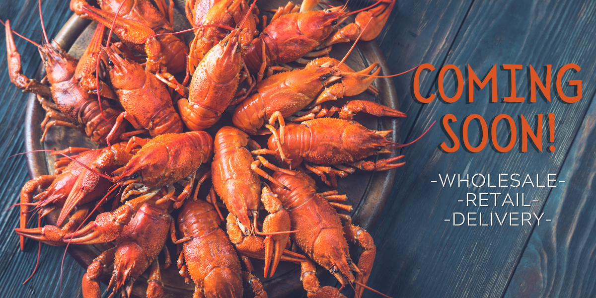 Cajun Week At Groomer's Seafood