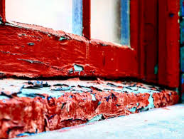 New OHHN director, Governor's Lead Recommendations, CareSource Foundation