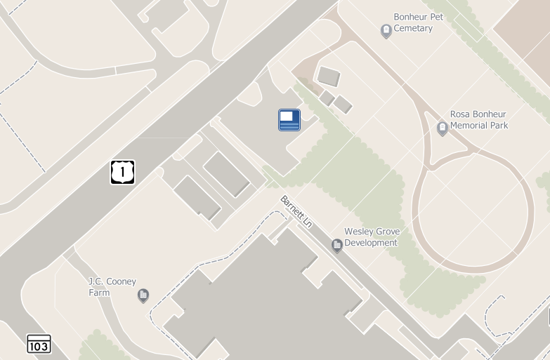 February 2025 Newsletter