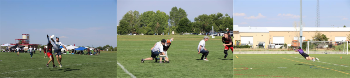 🌞 July News: The Fall Activity Guide is on the website, plan your ...