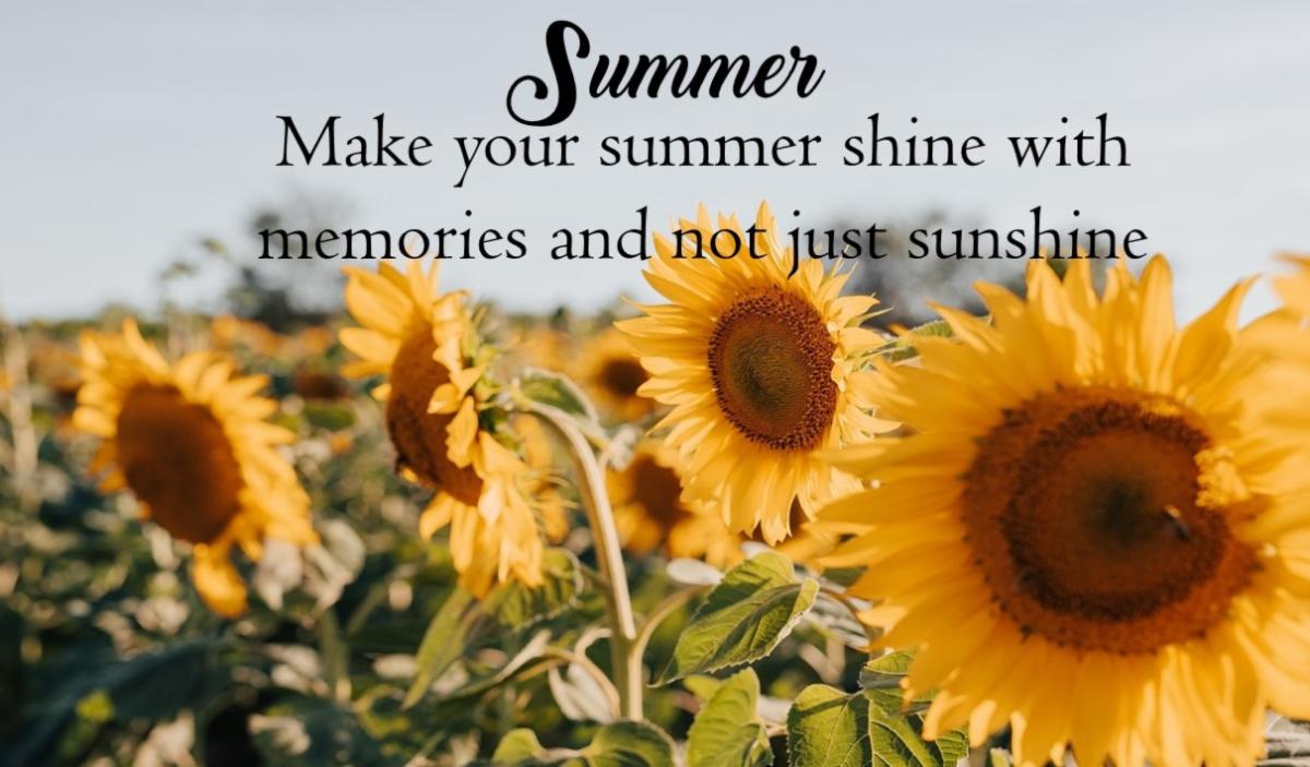 Town of Palm Beach Shores Monthly Newsletter - June 30, 2024