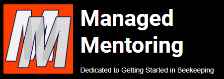 Managed Mentoring Online Meeting Invitation