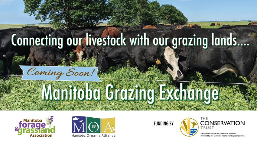 MFGA eBulletin - December 2021