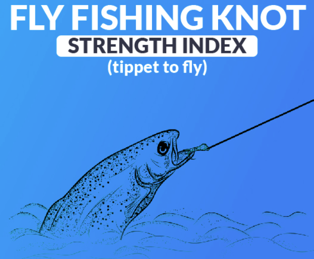 Lots of News for NKFF Members & Supporters