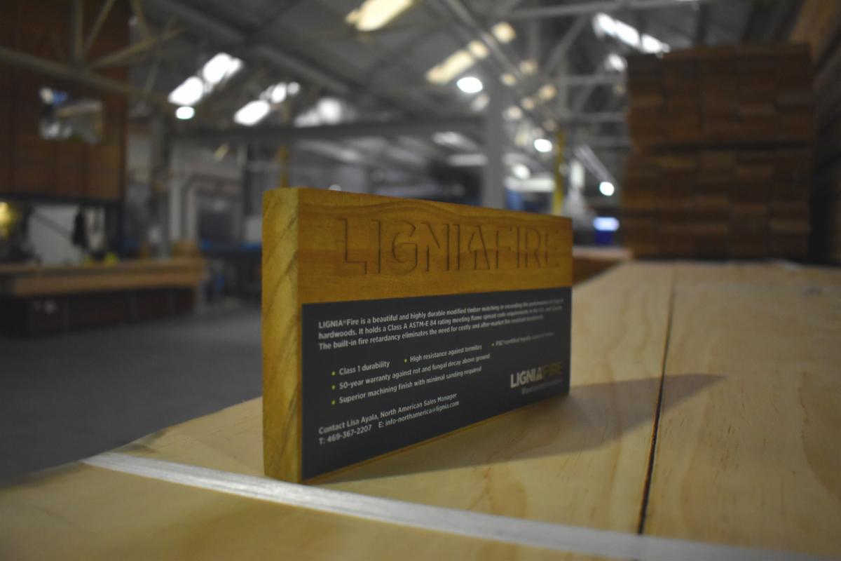 Award-Winning LIGNIA Fire