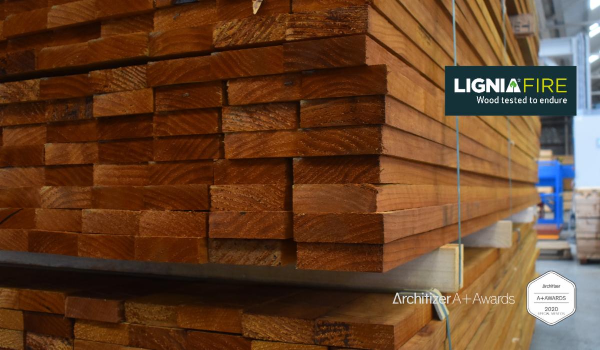 Award-Winning LIGNIA Fire