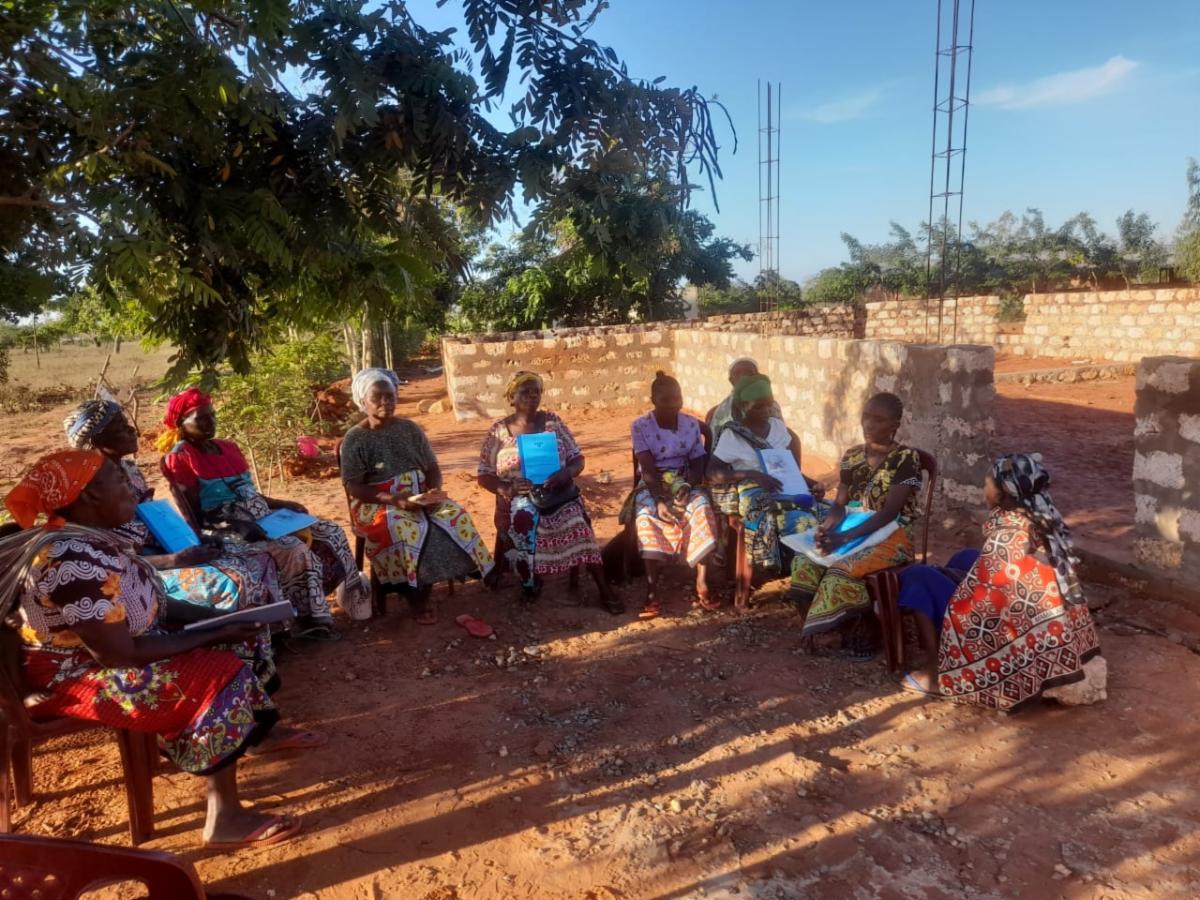 Exciting Updates (EOY #2)