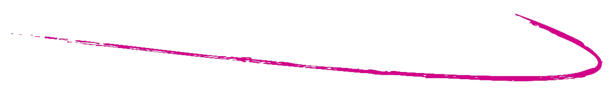 LWMS News & Notes December 2025