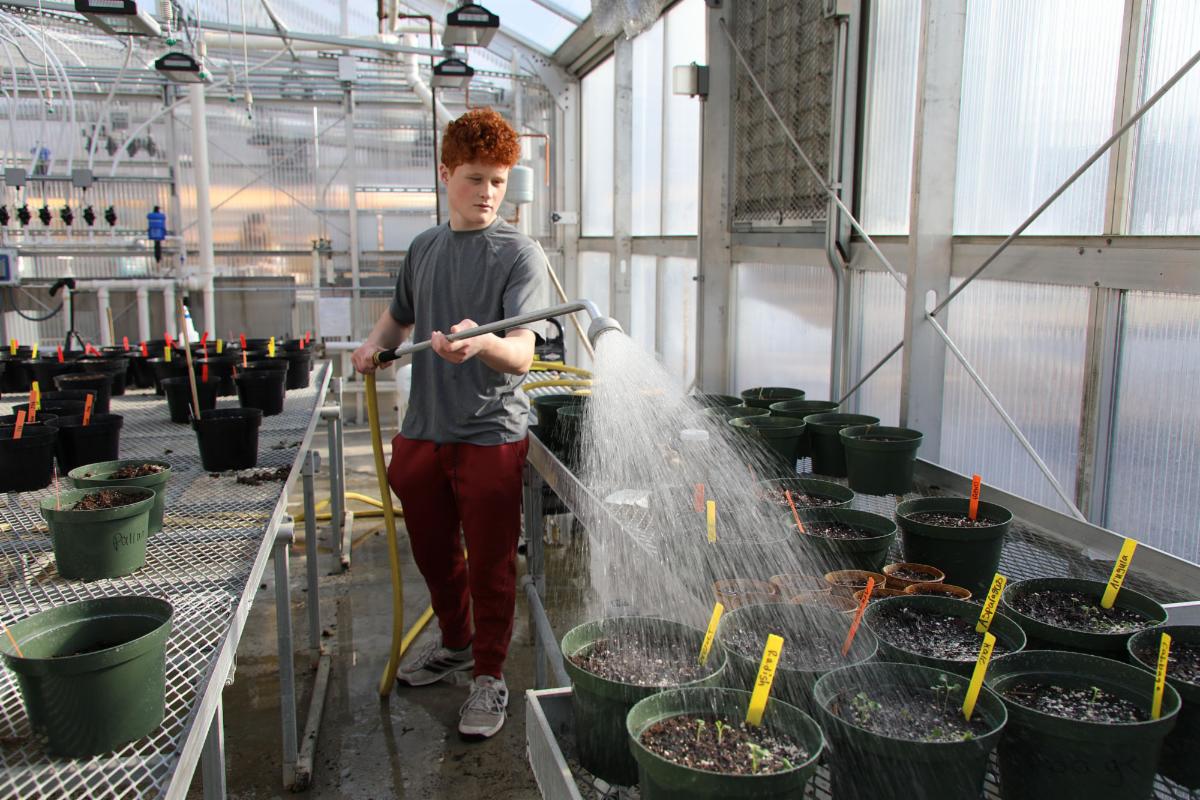 Spring construction at Barrington High School
