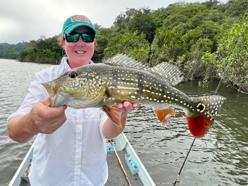 Capt Shane's S. Florida Summer Fishing Report & Amazon Trip Photos