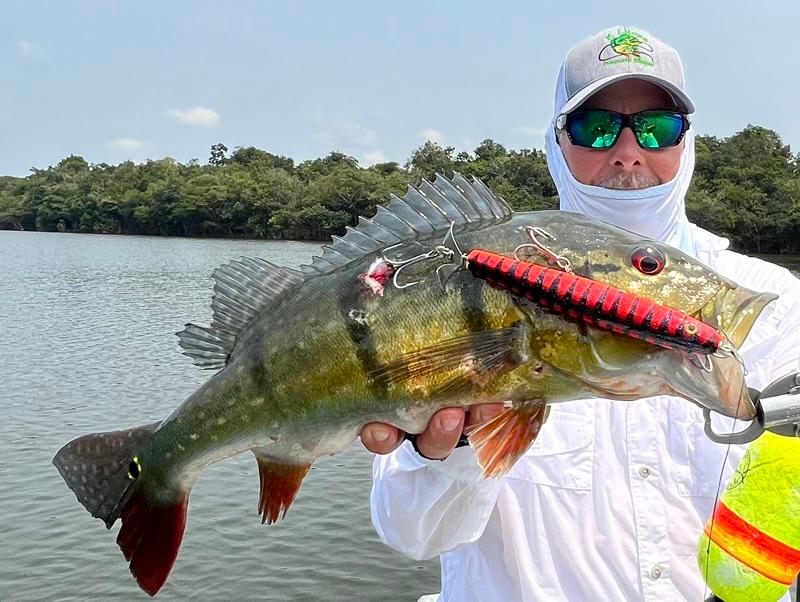 Capt Shane's S. Florida Summer Fishing Report & Amazon Trip Photos