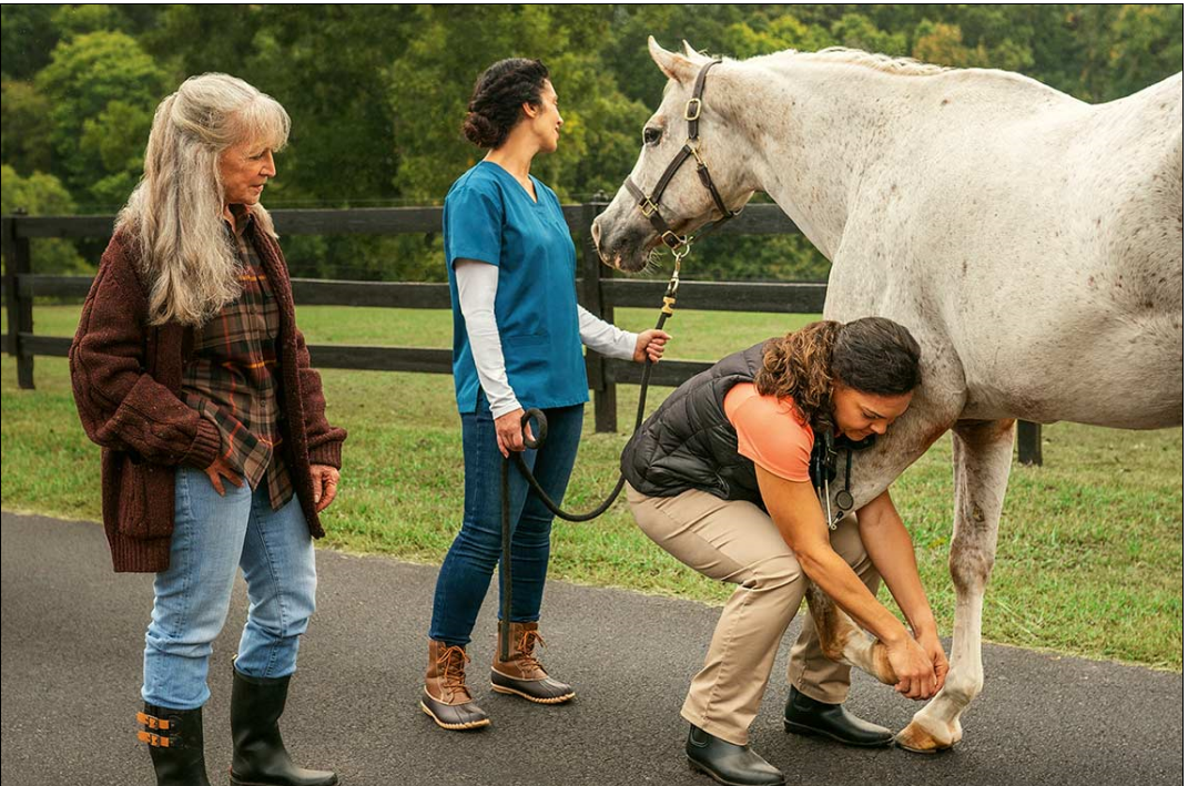 Hello, your PATH Intl. eNews is inside