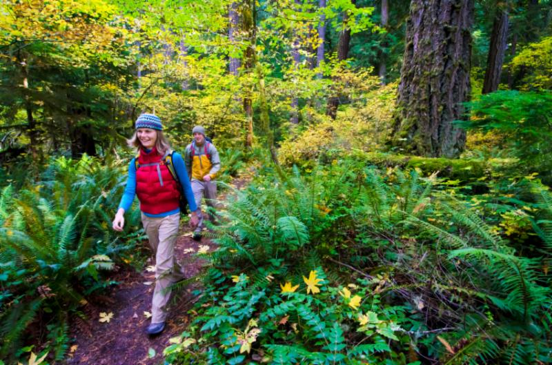 Fall Color Displays along the White Pass Scenic Byway