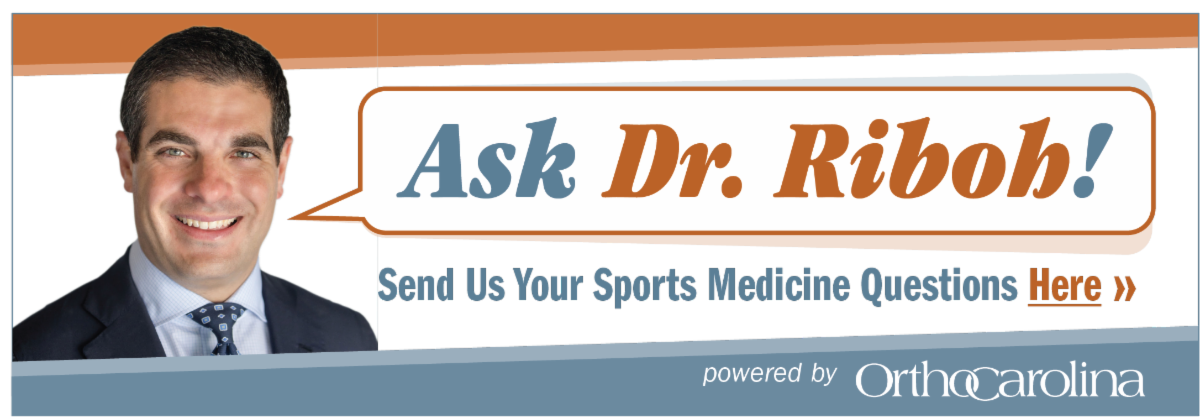 Executive Director Updates