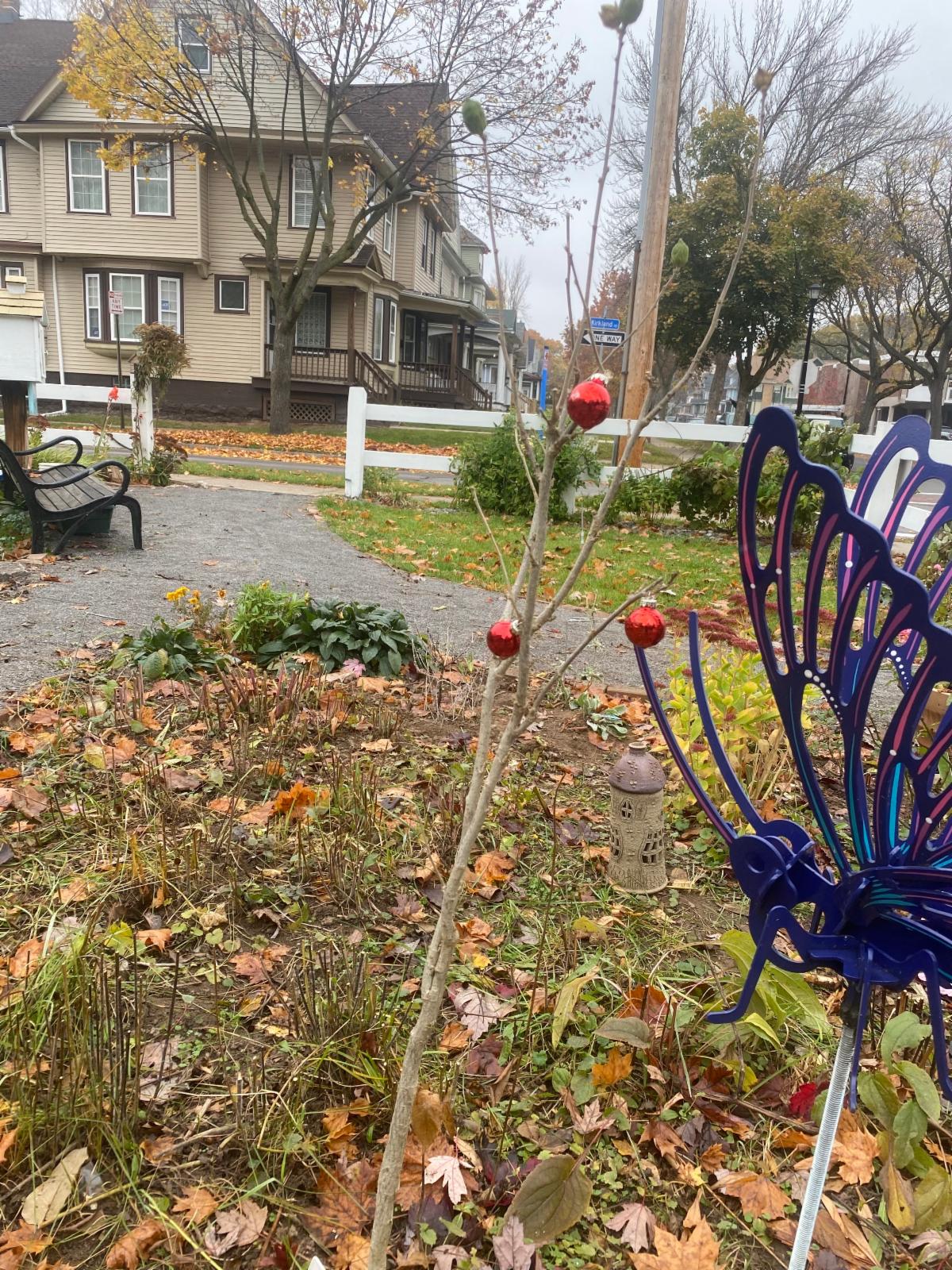 Rotary Club of Rochester Southwest News (November 2022)