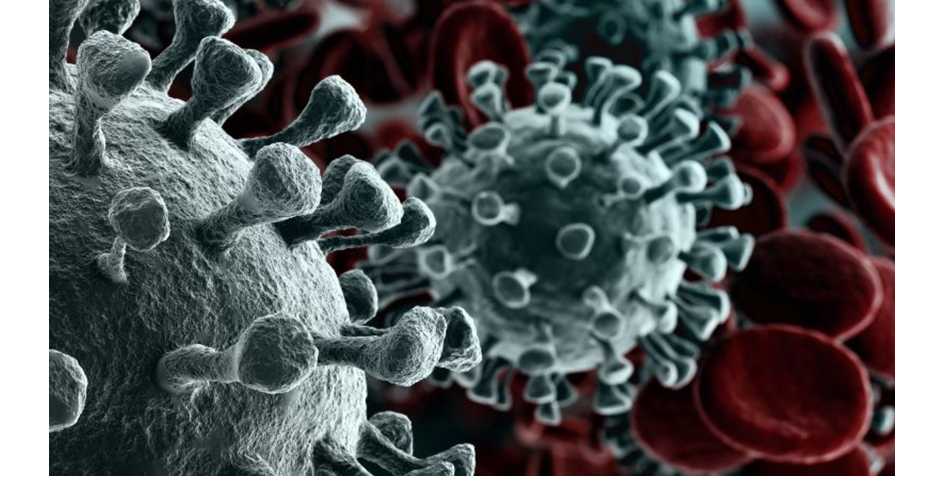 TAWB Workforce Update