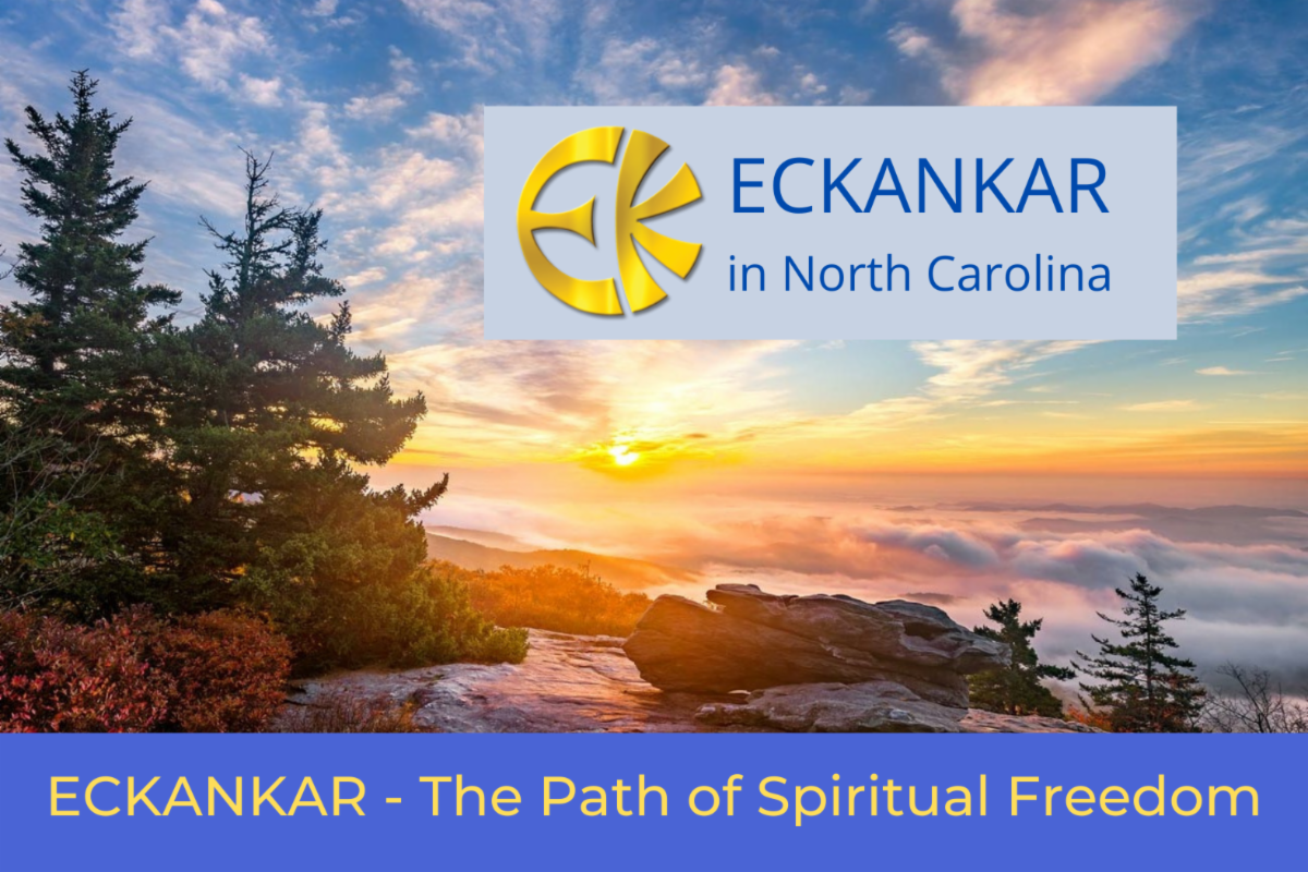 Week at a Glance 8/7 - 8/13