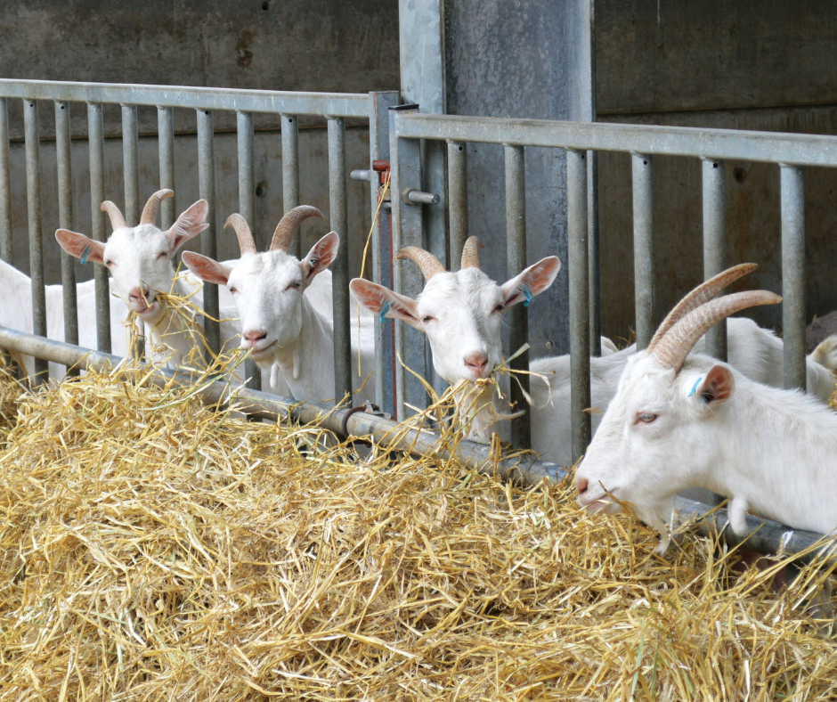 Specials - Farmers Cooperative Association, Inc - Farmers Cooperative ...