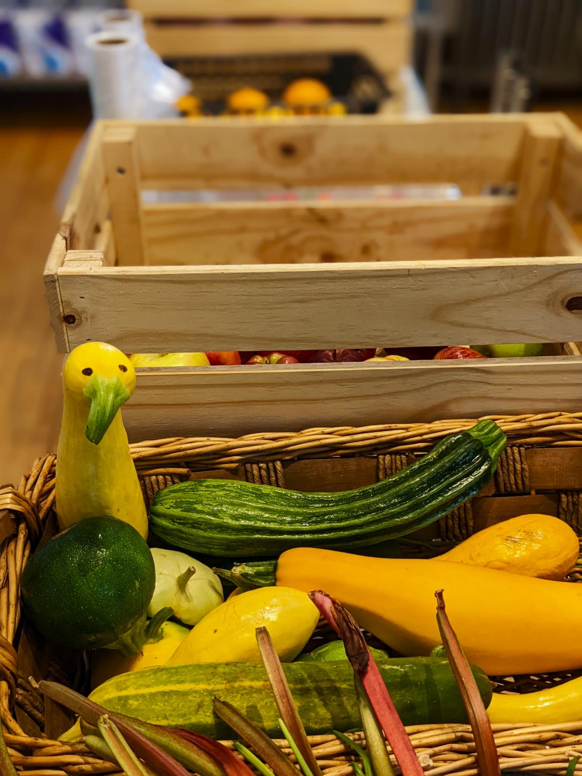 Ways to Support Joyce Uptown Foodshelf this Fall!