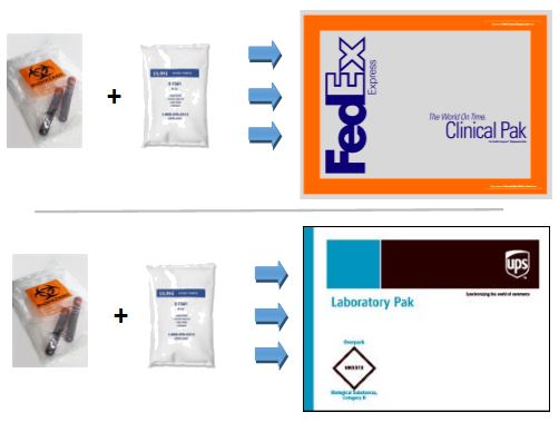 MCI Diagnostic Center - NEWSLETTER