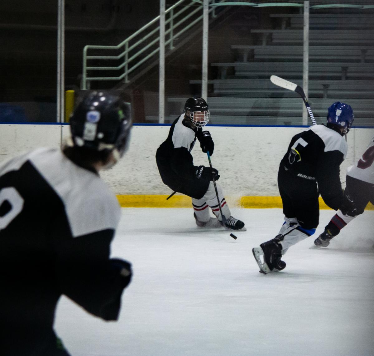 This Week at the Peaks