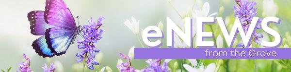 Weekly eNews- Discover The Grove