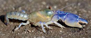 August 2022 eNews: It's Go for Launch | Regen Ag Project To Continue ...