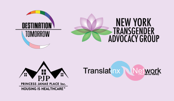 Investing in Trans-led Community Based Organizations on Organizational ...