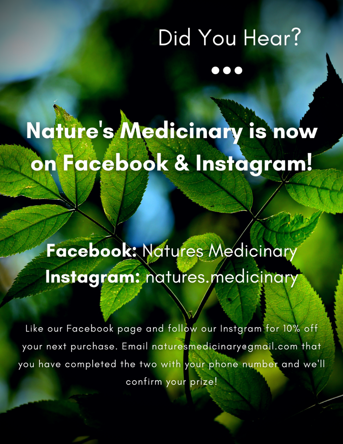 How a Naturopathic Doctor Interprets Lab Results