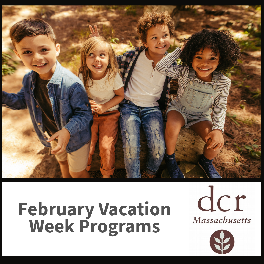 The Commonwealth Connection