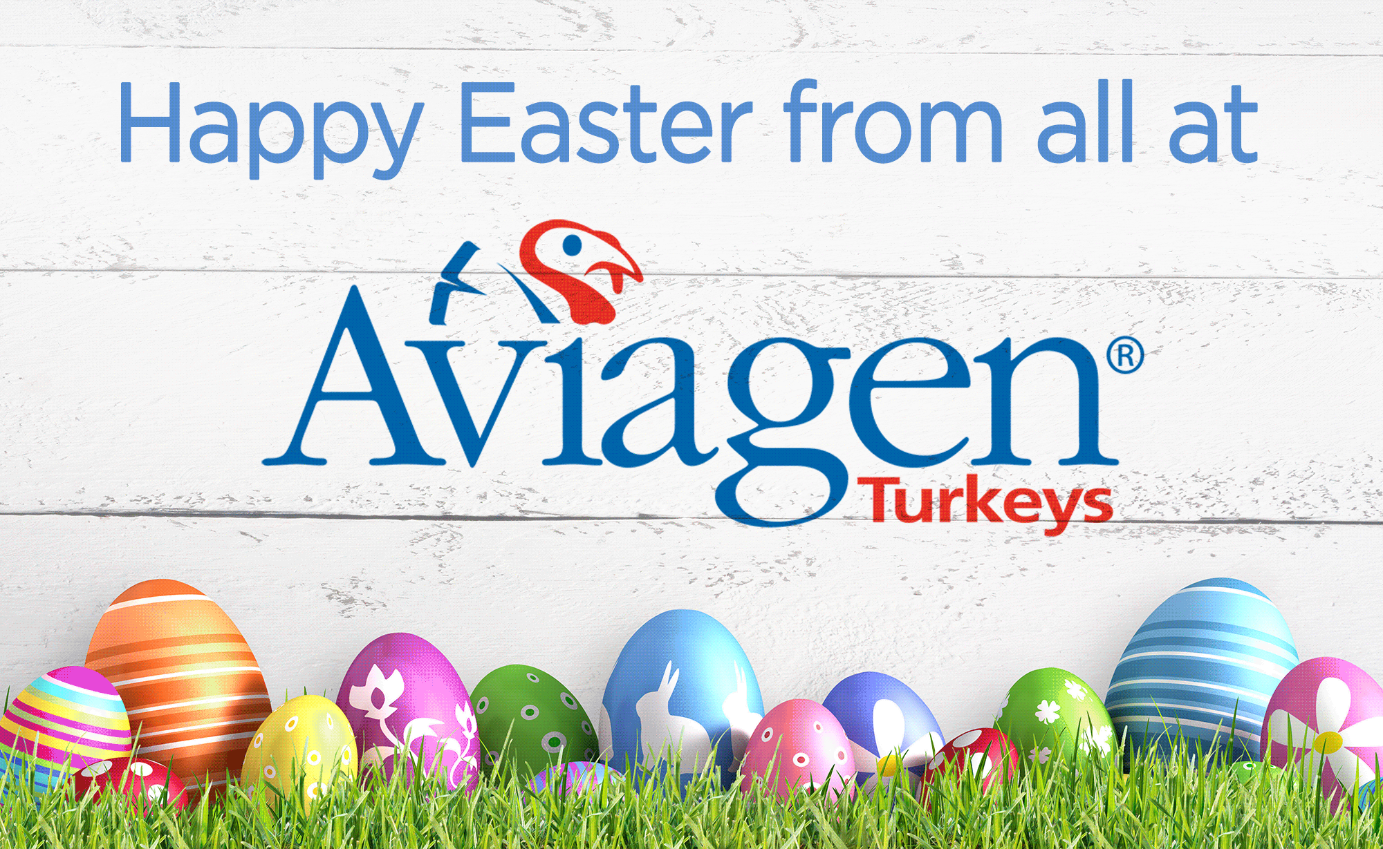 Aviagen Turkeys great success with customer Open Day & TSPC