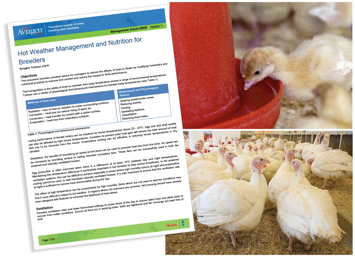 Aviagen Turkeys great success with customer Open Day & TSPC