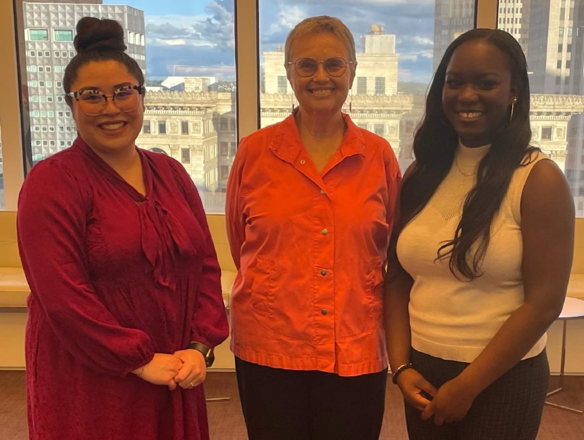 The Bridge - PLDIC News and Resources