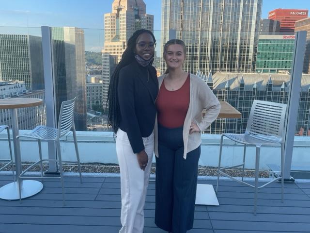 The Bridge - PLDIC News and Resources