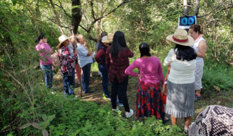 Grace Upon Grace Advent Devotional